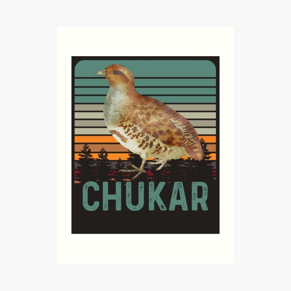 Chukar Wall Art | Redbubble