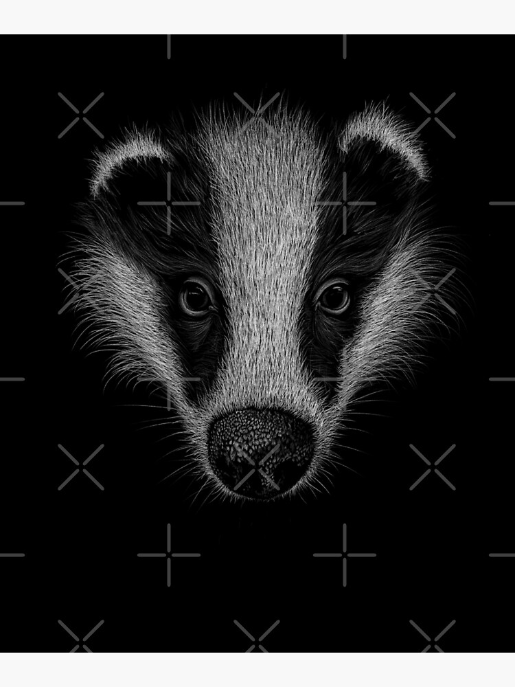 "WildLife Sketch-Art Badger Pencil Drawing" Canvas Print by ...