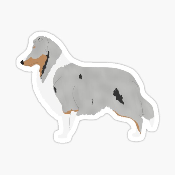 "Blue Merle Sheltie" Sticker for Sale by hadissima | Redbubble
