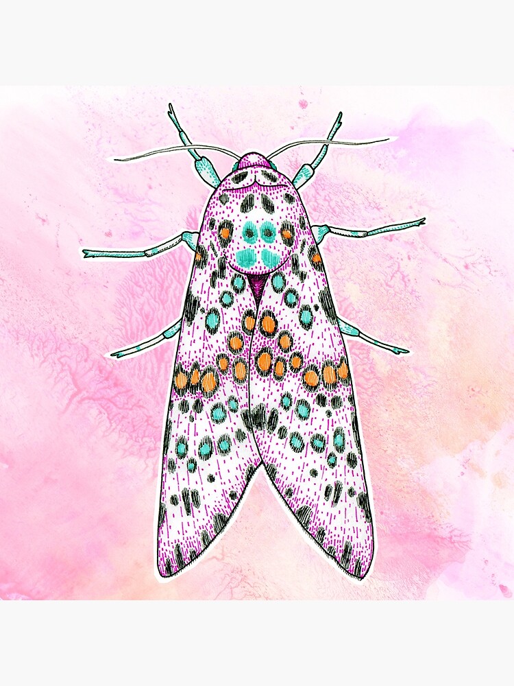 "Moth ink and watercolor hand drawn illustration " Poster for Sale by ...