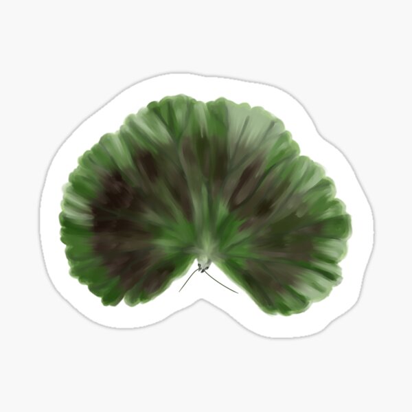 "Geranium Leaf Butterfly" Sticker by likecroft | Redbubble