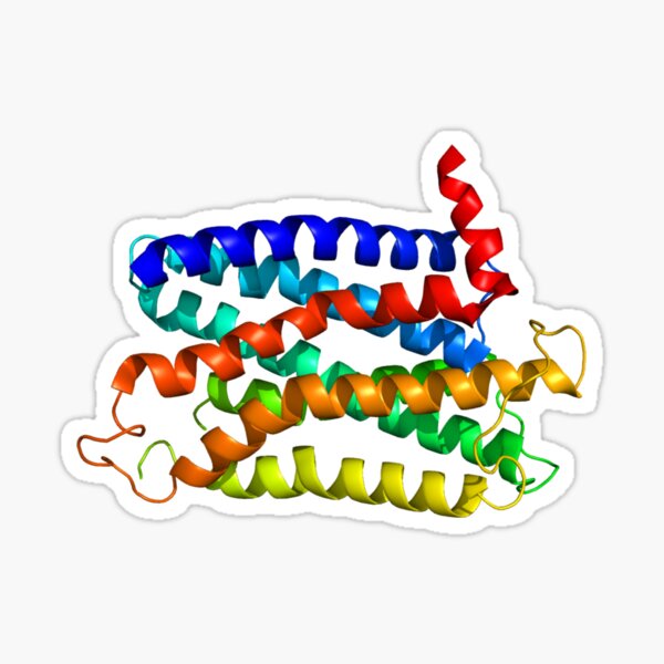 "G Protein-Coupled Receptor GPCR GPCR (G-Protein Coupled Receptor ...
