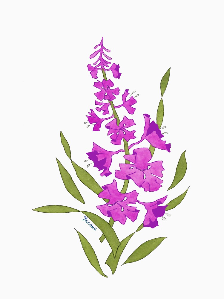 "Solo Fireweed design" T-shirt for Sale by teresaascone | Redbubble ...