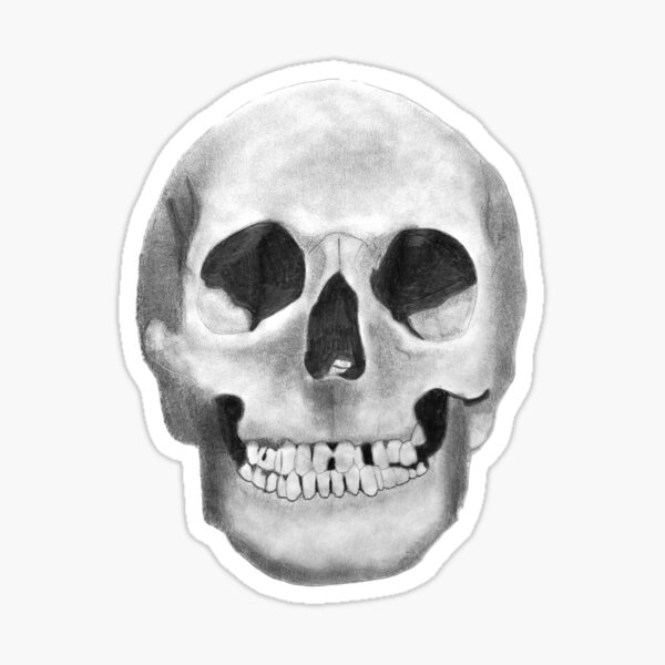 "Skull Drawing" Sticker for Sale by haylees76 | Redbubble