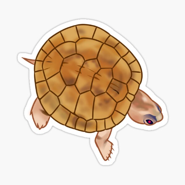 "Caramel red eared slider turtle #2" Sticker for Sale by AlecRt | Redbubble