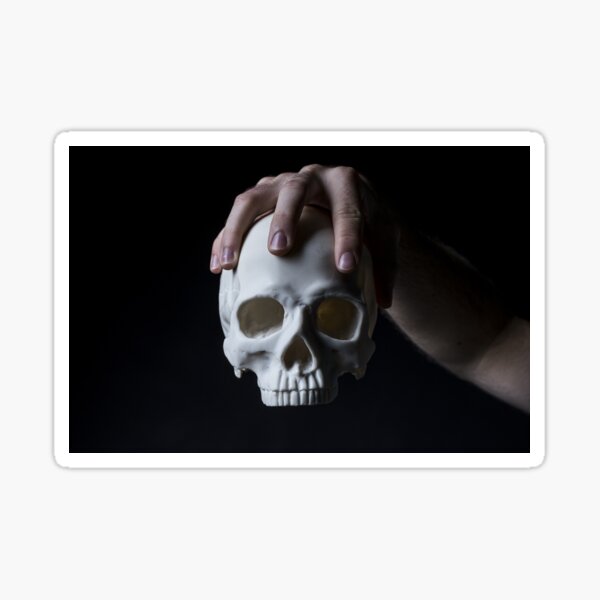 "Jawless human skull" Sticker for Sale by TeoLazarev | Redbubble