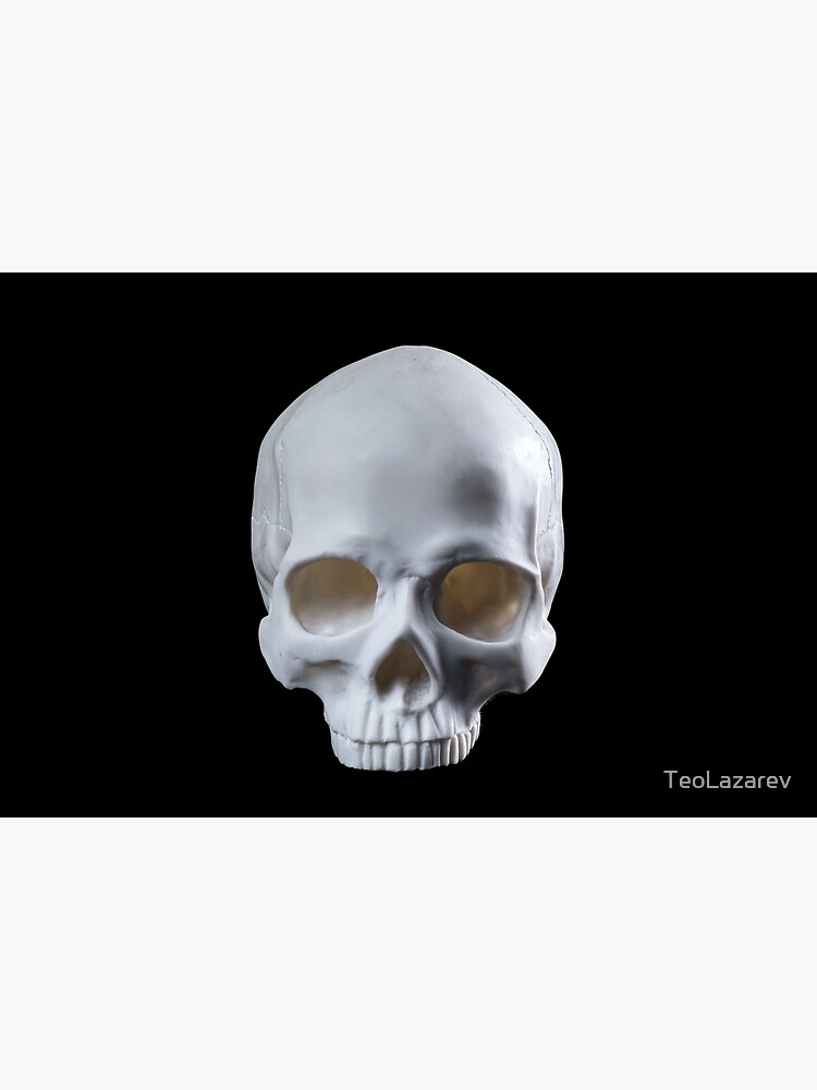 "Jawless human skull" Poster for Sale by TeoLazarev | Redbubble