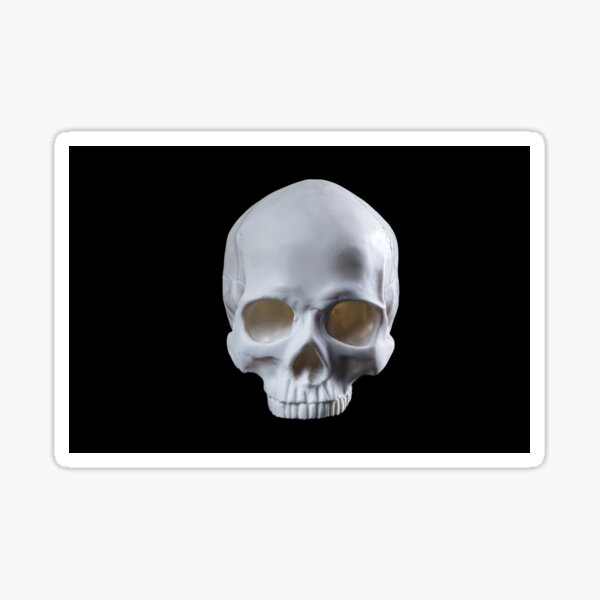 "Jawless human skull" Sticker by TeoLazarev | Redbubble