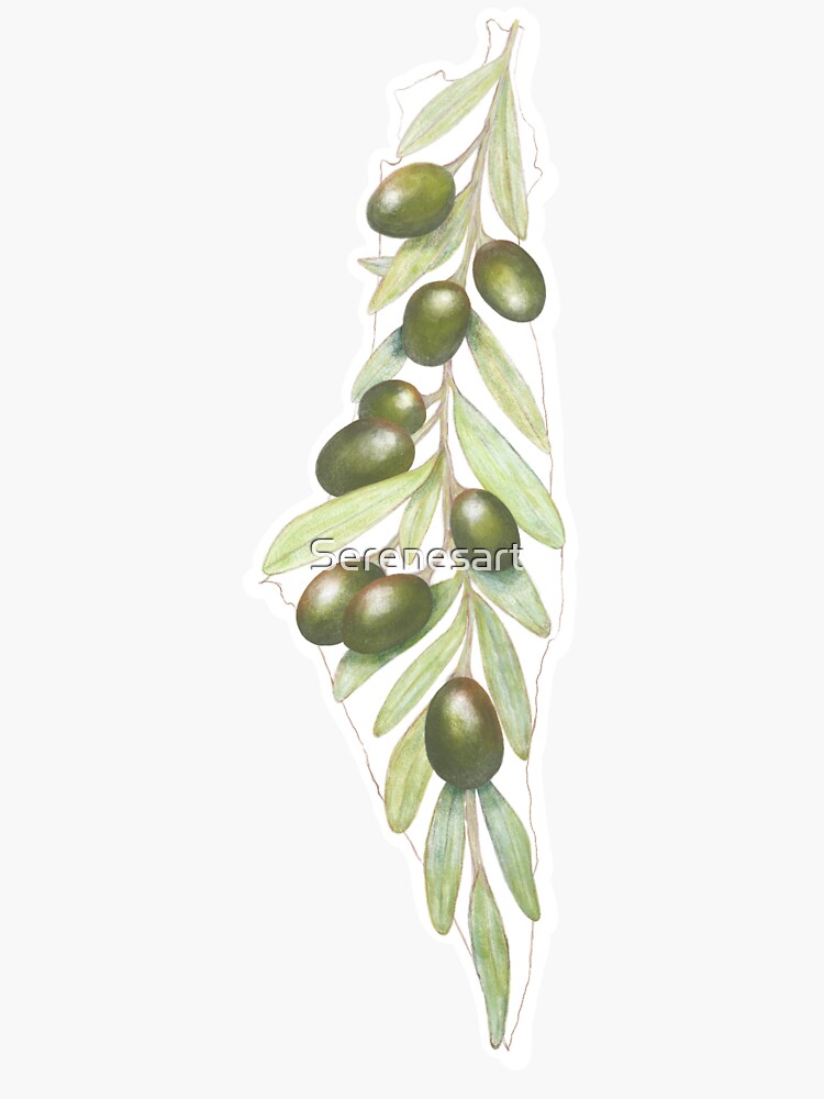"Palestinian Green Olives Map" Sticker for Sale by Serenesart | Redbubble