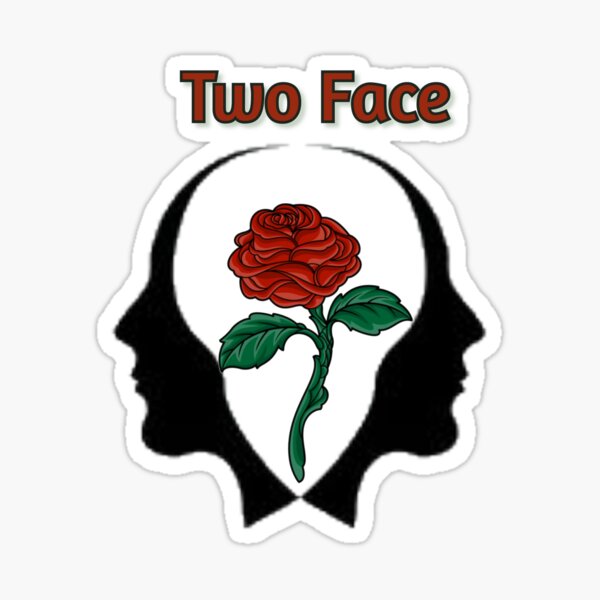 "Two Face" Sticker by Coconuts20 | Redbubble