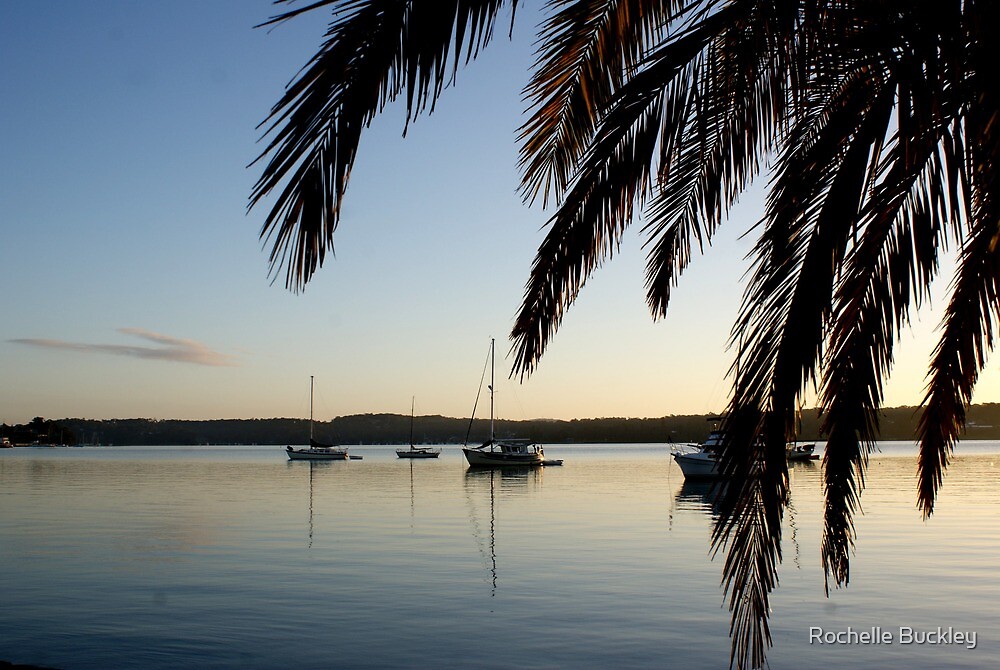"Lakeside Dawn - Toronto Foreshore, NSW" by Rochelle Buckley | Redbubble