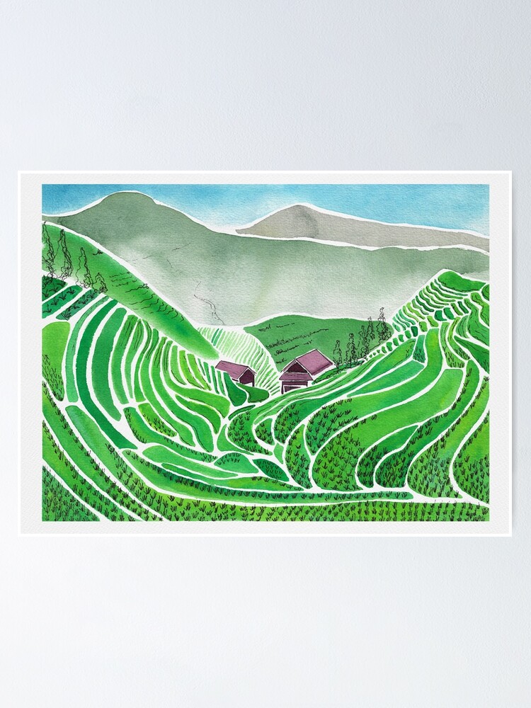 "Terraced Rice Fields" Poster by sasafulart | Redbubble
