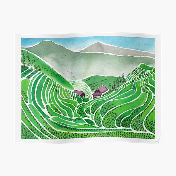 "Terraced Rice Fields" Poster by sasafulart | Redbubble