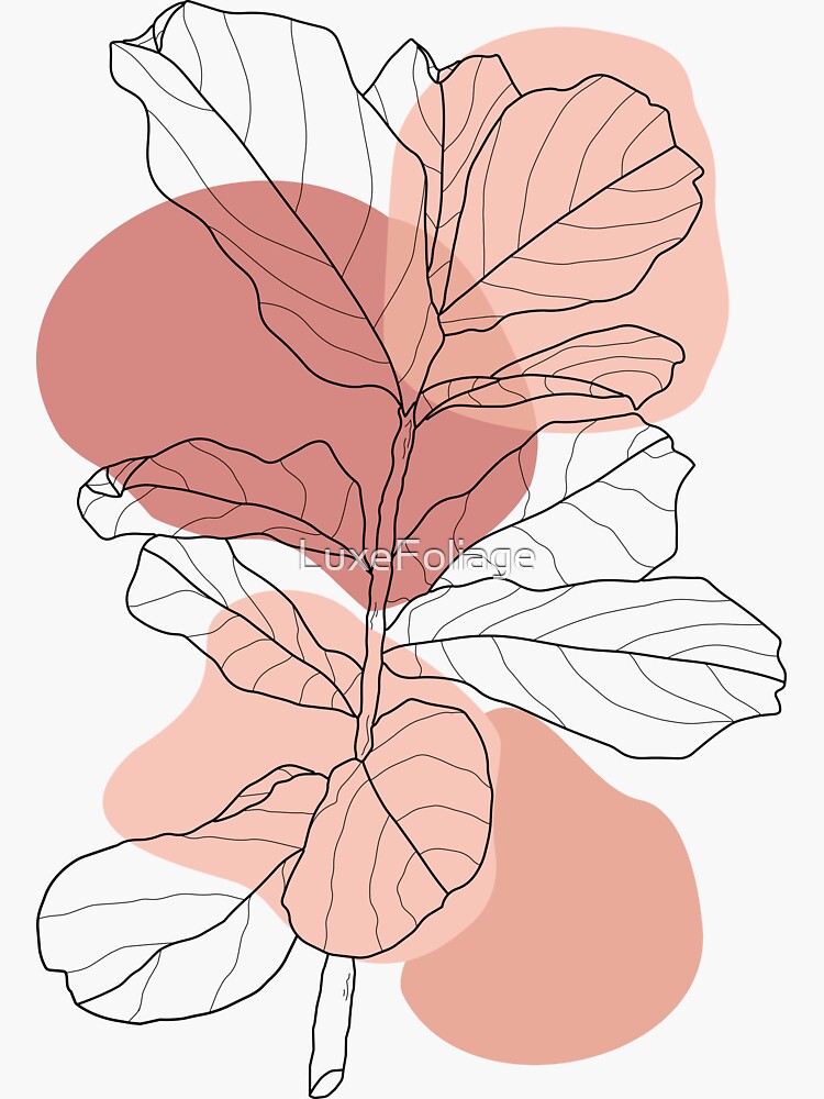 "Fiddle Leaf Fig" Sticker for Sale by LuxeFoliage | Redbubble