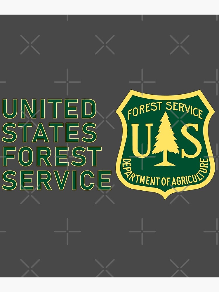 "UNITED STATES FOREST SERVICE -- U.S. Forest Service (Green and Gold ...
