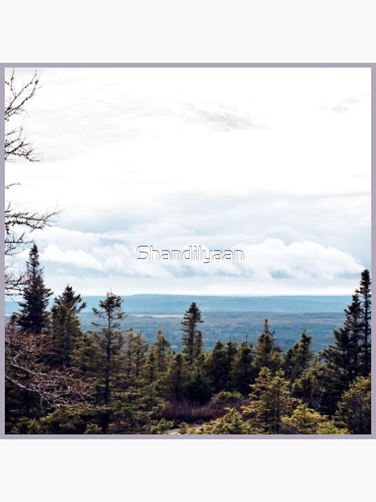 "red bubble custom design" Art Print for Sale by Shandilyaan | Redbubble