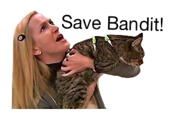 "Save bandit" by richterr | Redbubble