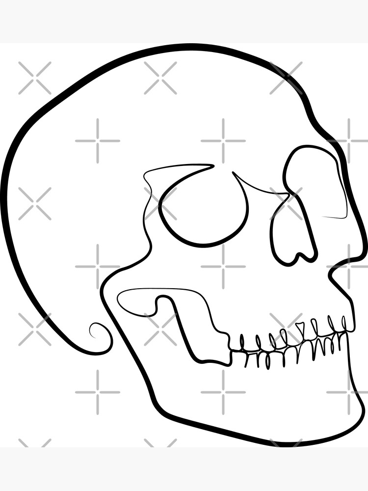 "Human Skull Singular Line Drawing" Art Print by Wuhnder | Redbubble