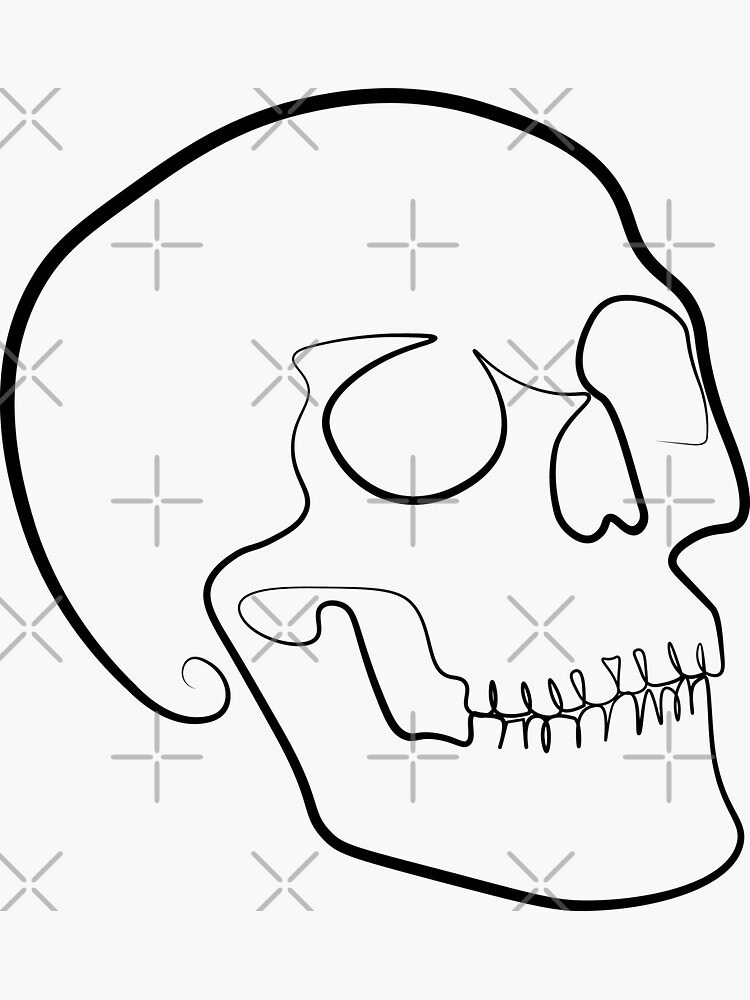 "Human Skull Singular Line Drawing" Sticker for Sale by Wuhnder | Redbubble