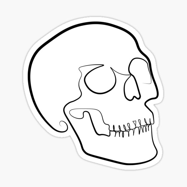 "Human Skull Singular Line Drawing" Sticker for Sale by Wuhnder | Redbubble