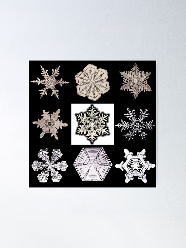 Hojas De Trabajo De Bentley Con Copos De Nieve