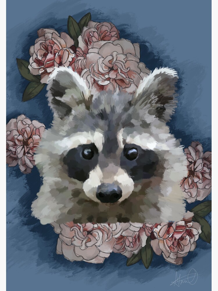 "Cute Racoon Prints and Art" Sticker for Sale by alanaodonnell | Redbubble