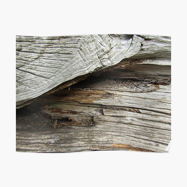 "Rough timber" Poster for Sale by joshuarainbird | Redbubble