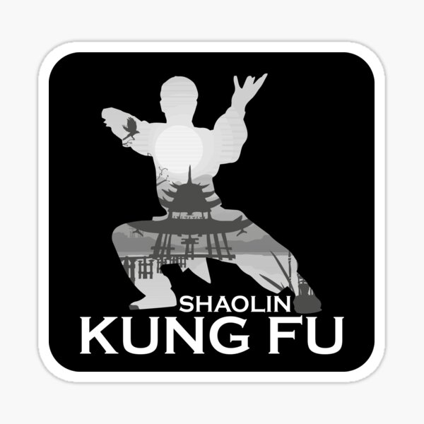 Sticker: Shaolin Kung Fu | Redbubble