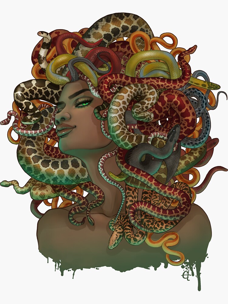 "Medusa" Sticker for Sale by Courtney Trowbridge | Redbubble