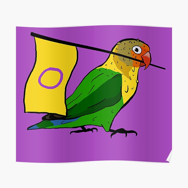 "Pride parrots - intersex lovebird" Poster for Sale by RossMakesArt ...
