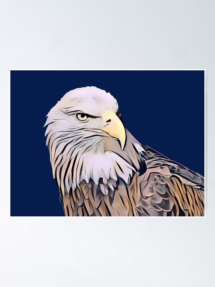 "Stylized Bald Eagle" Poster by autumnseasphoto | Redbubble