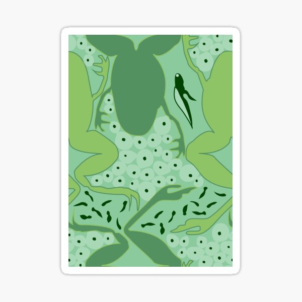"Frog Life Cycle" Sticker by louweasely | Redbubble