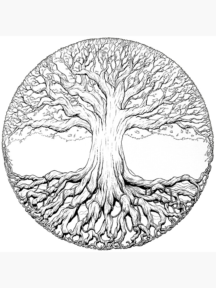 "The Tree of Life Line Drawing" Poster for Sale by FragaStudios | Redbubble