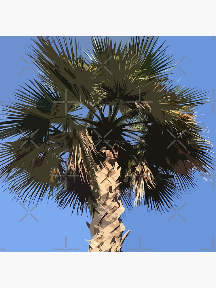 "Palm Trees at the Gulf Beach Marina in Kuwait - Tropical Palm Tree ...