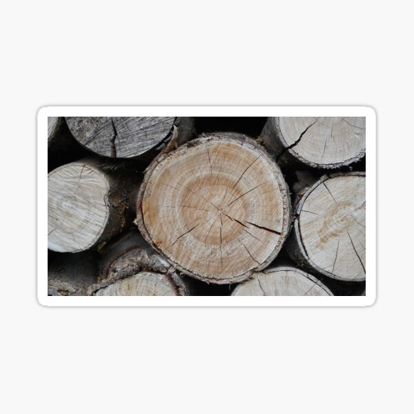 "Lumber Timber Logging Wood" Sticker by Silver-Bubble | Redbubble