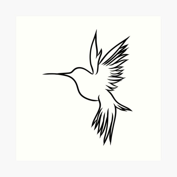 "Bird Illustrations: Hummingbird outline" Art Print for Sale by ...