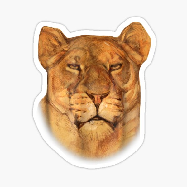"Lioness Female Lion Face I love Lions " Sticker for Sale by ...
