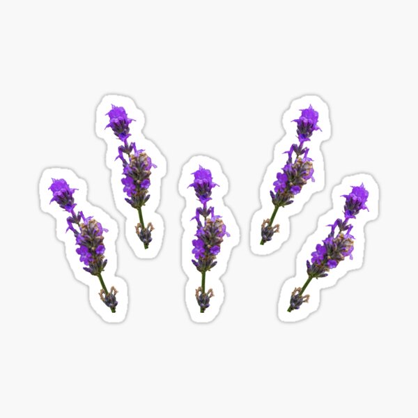 "Lavender stickers pack" Sticker for Sale by WanderlustBunny | Redbubble