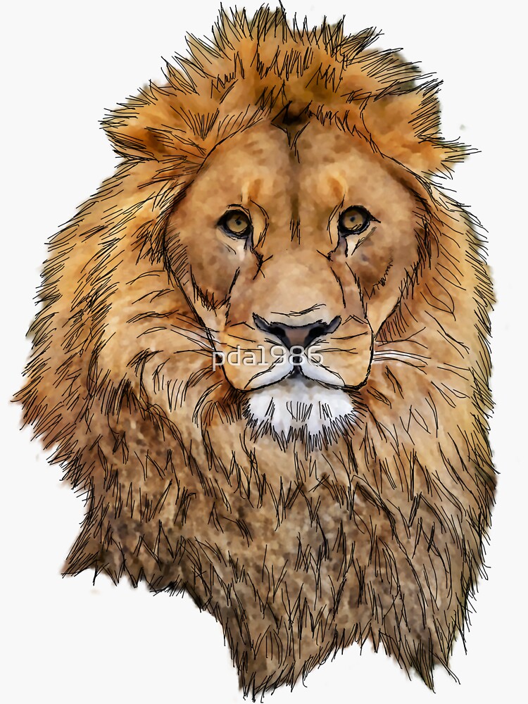 "Lion" Sticker by pda1986 | Redbubble