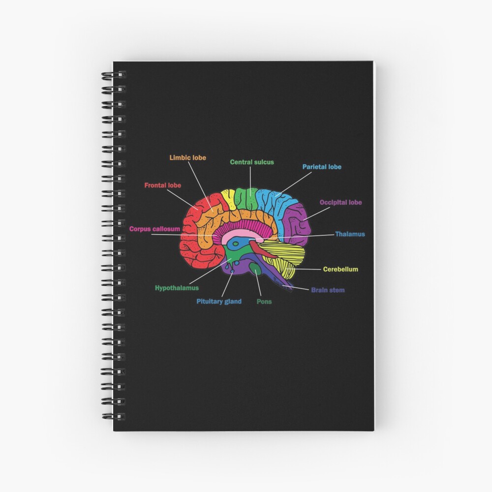 "Anatomy of the Brain" Spiral Notebook by Geek-topia | Redbubble