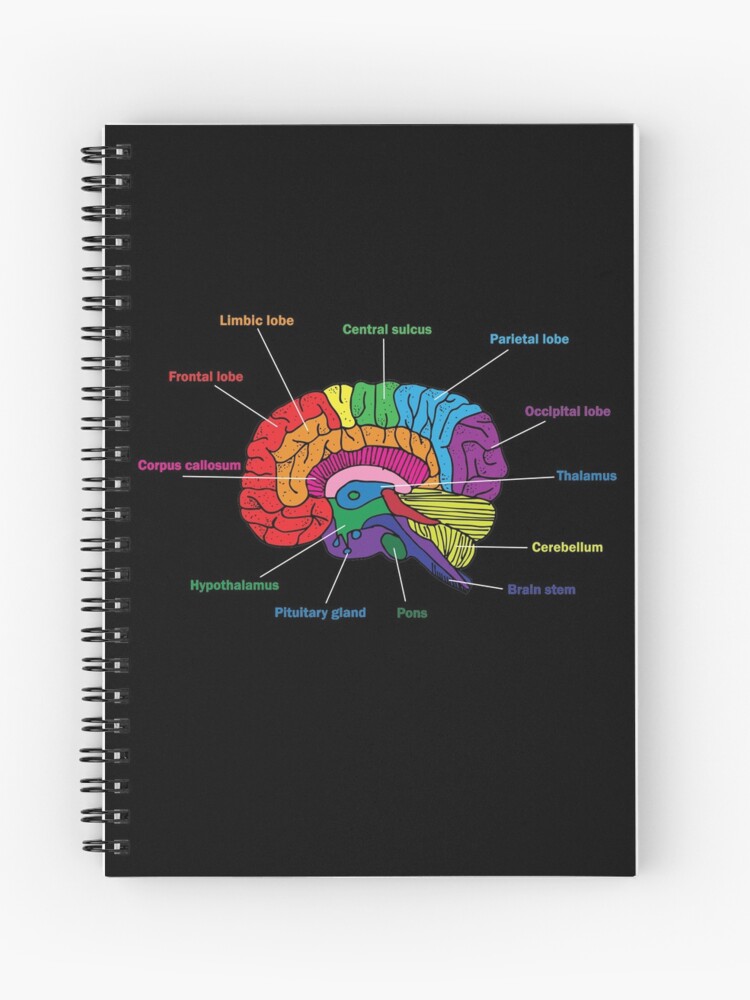 "Anatomy of the Brain" Spiral Notebook for Sale by Geek-topia | Redbubble