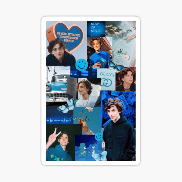 "timothee chalamet collage" Sticker for Sale by ashcola | Redbubble