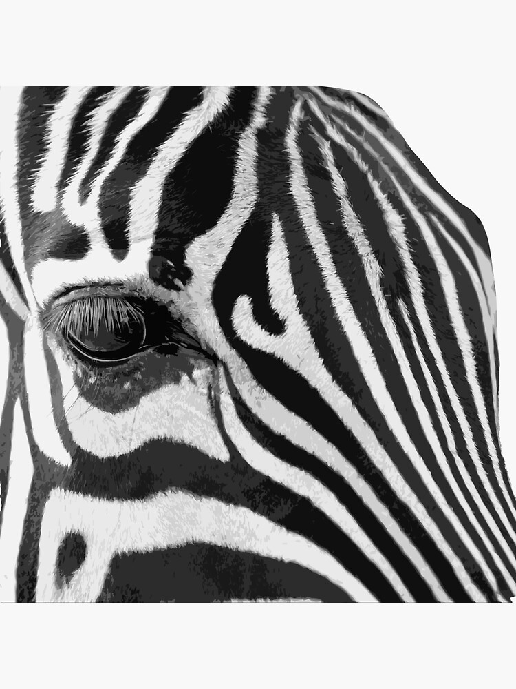 "Zebras " Sticker by Rikanderprod | Redbubble