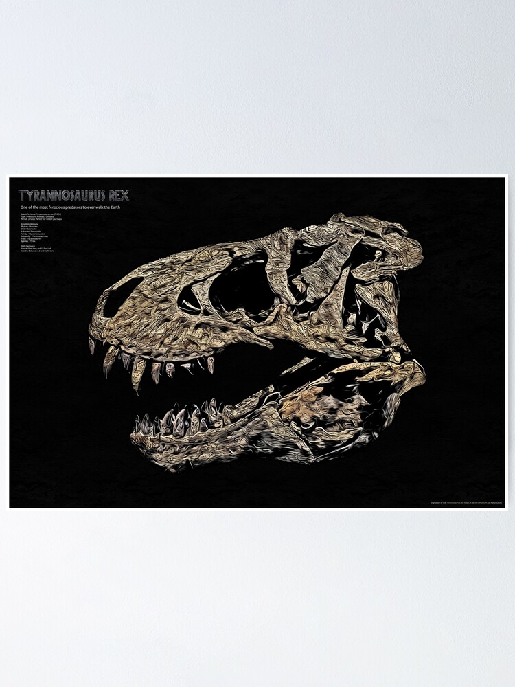 "Tyrannosaurus Rex fossil - T-REX" Poster for Sale by Astrobiologic ...