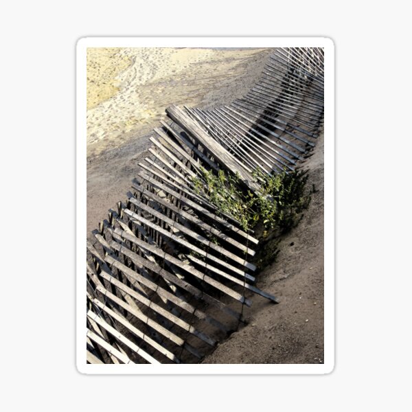 "True Grit" Sticker by RVogler | Redbubble