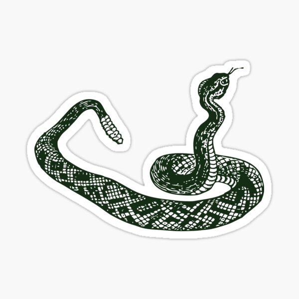 Rattlesnake Stickers | Redbubble