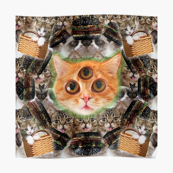"third eye ascended feline master" Poster for Sale by STORMYMADE ...