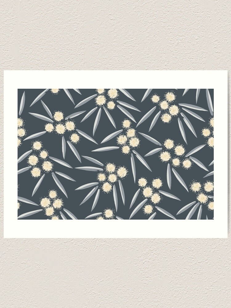 "White Australian Wattle Flowers on Blue by Erin Kendal" Art Print by ...