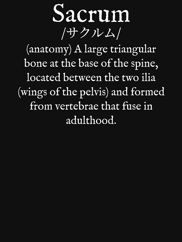 "S: Sacrum: Wear Your Dictionary: English: Anatomy: Katakana ...