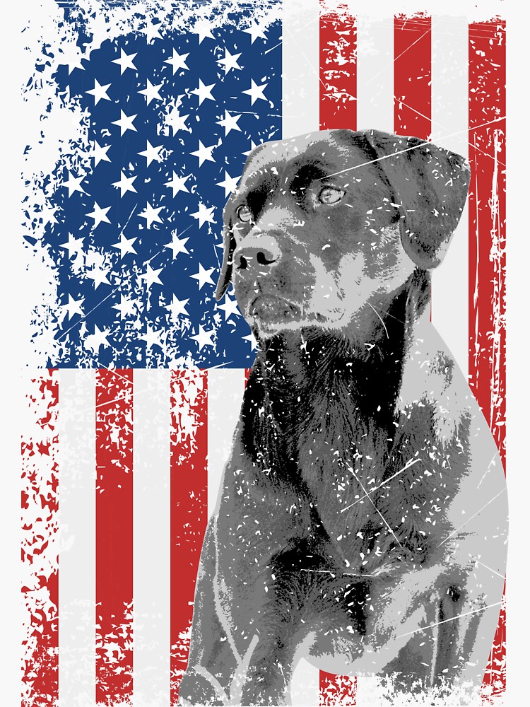 "Patriotic USA Flag Black Labrador gift for Lab Owners design" Sticker ...